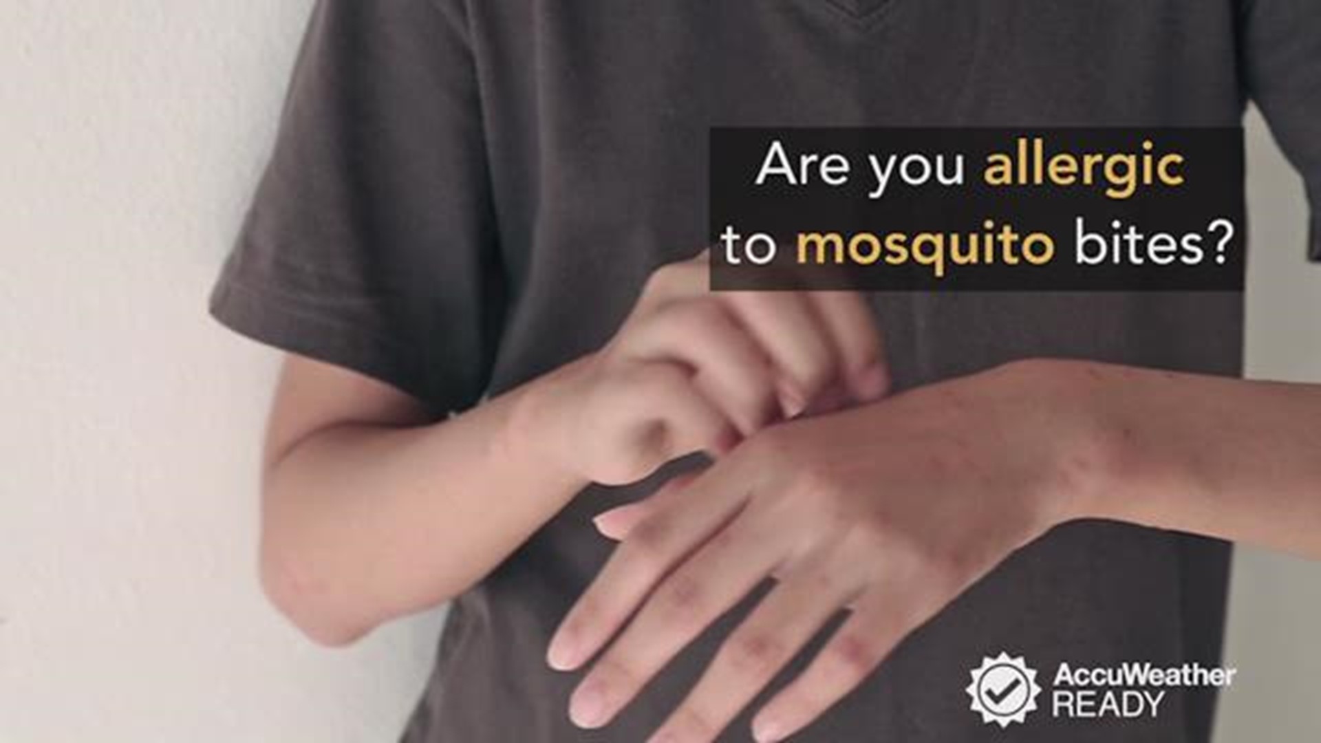 Are you allergic to mosquito bites? | krem.com