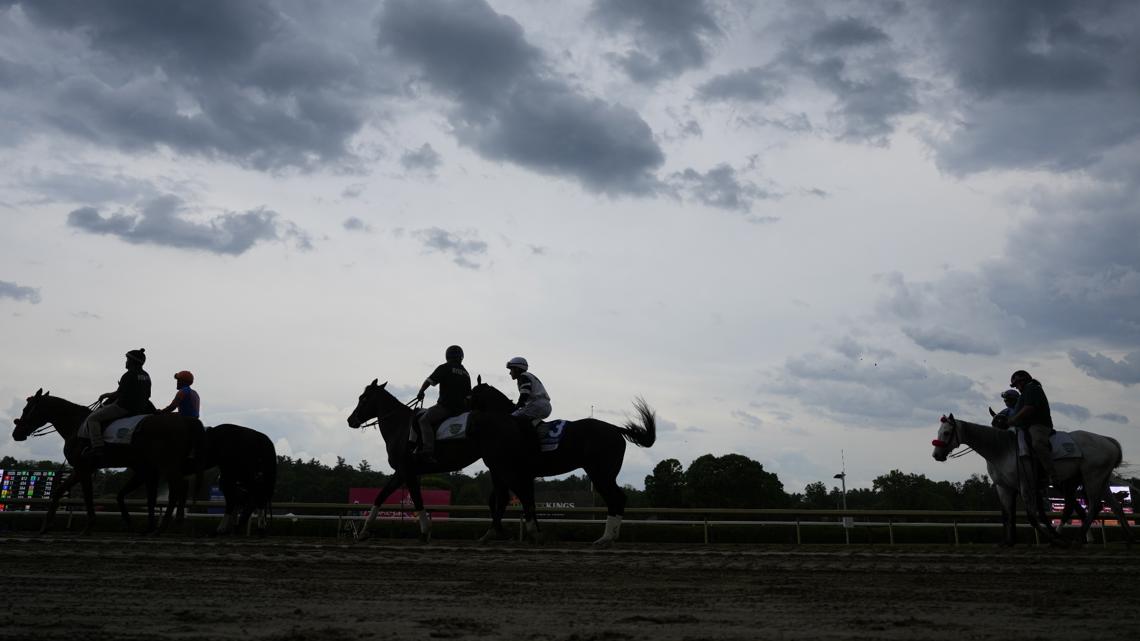 17 racehorses killed in Saratoga Springs barn fire | krem.com