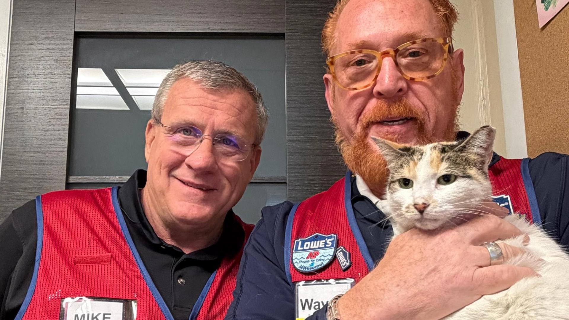 Richmond's beloved cat Francine found after 2 weeks, 85 miles away ...