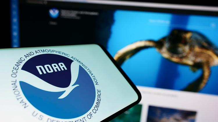 Flight 509 entertainment center opening in Spokane Valley | krem.com