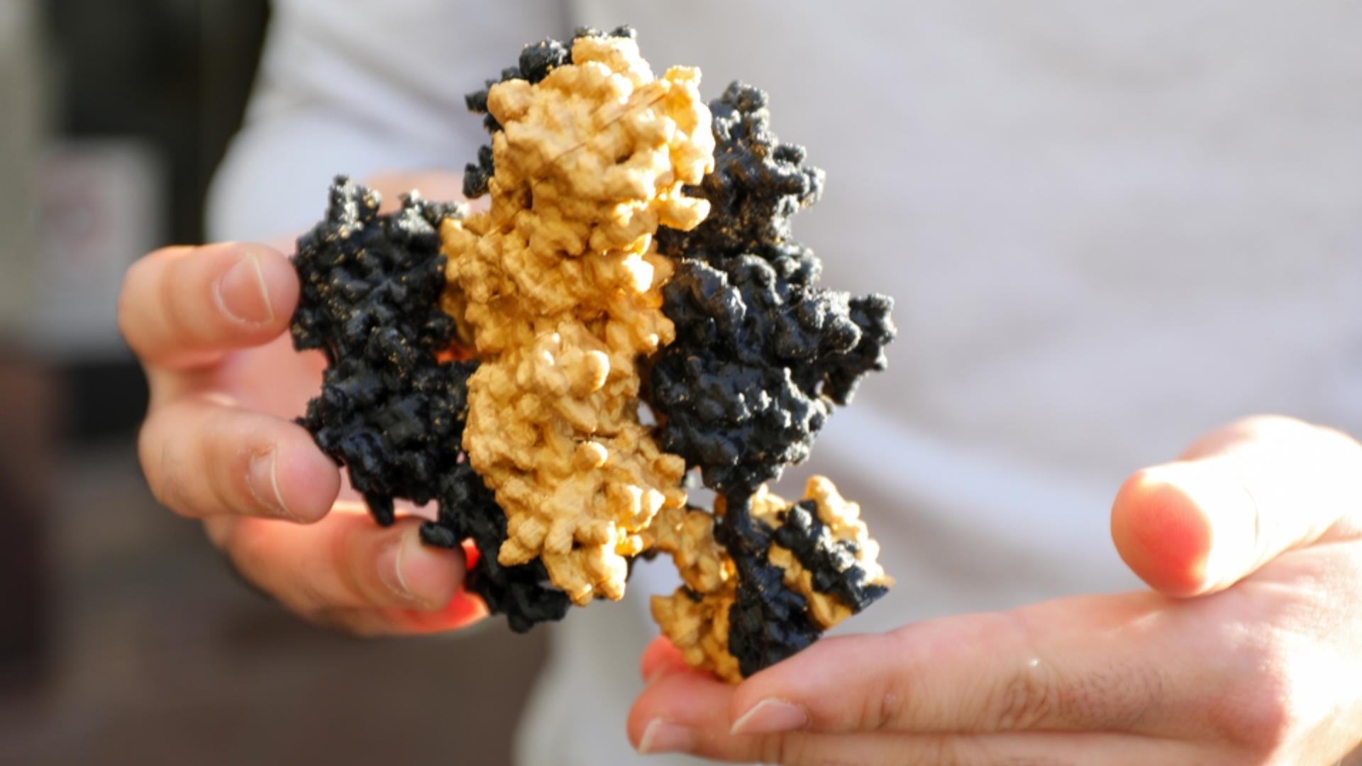 Rare 'Brain on Fire' disorder highlighted in Netflix film may soon have ...