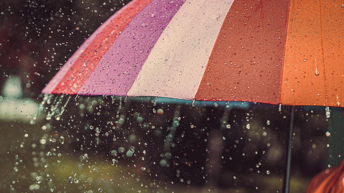 Spokane’s November 2024 rainfall is 11th wettest on record | krem.com