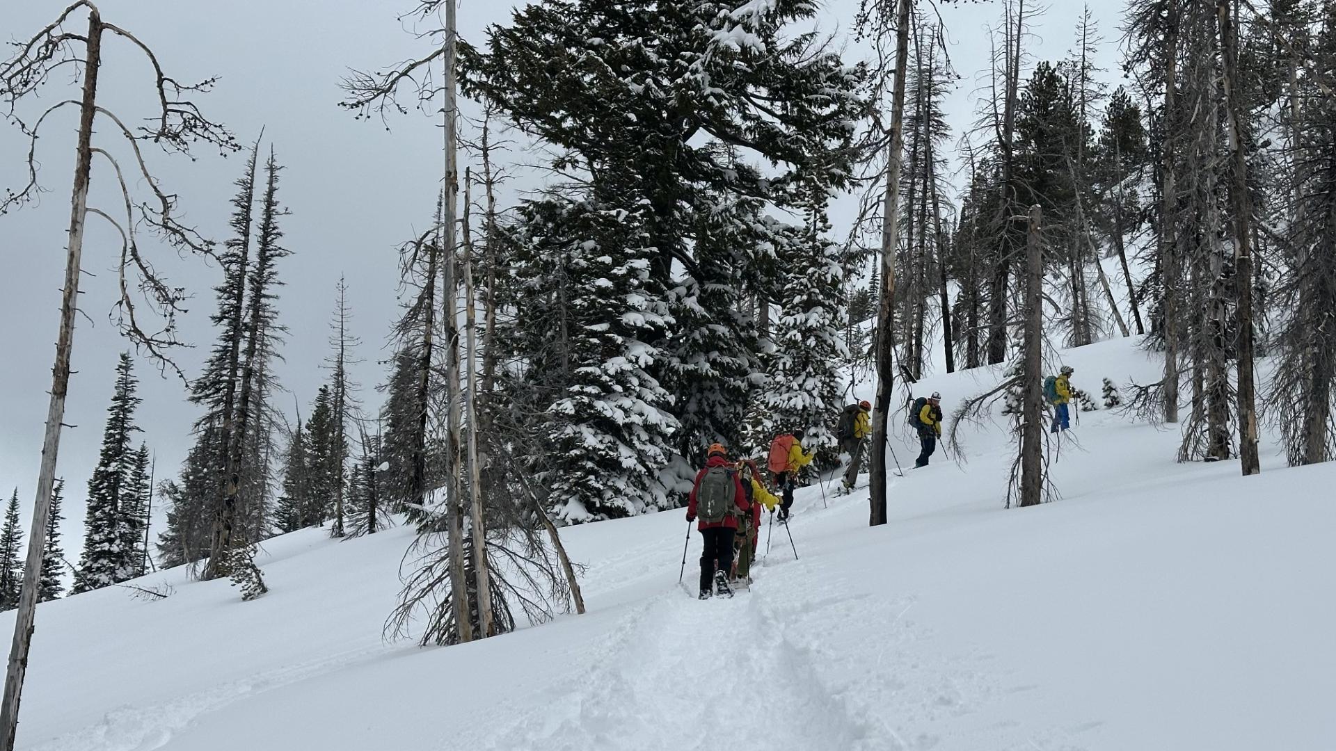 Oregon avalanche kills 2 people near snowmobile trail | krem.com