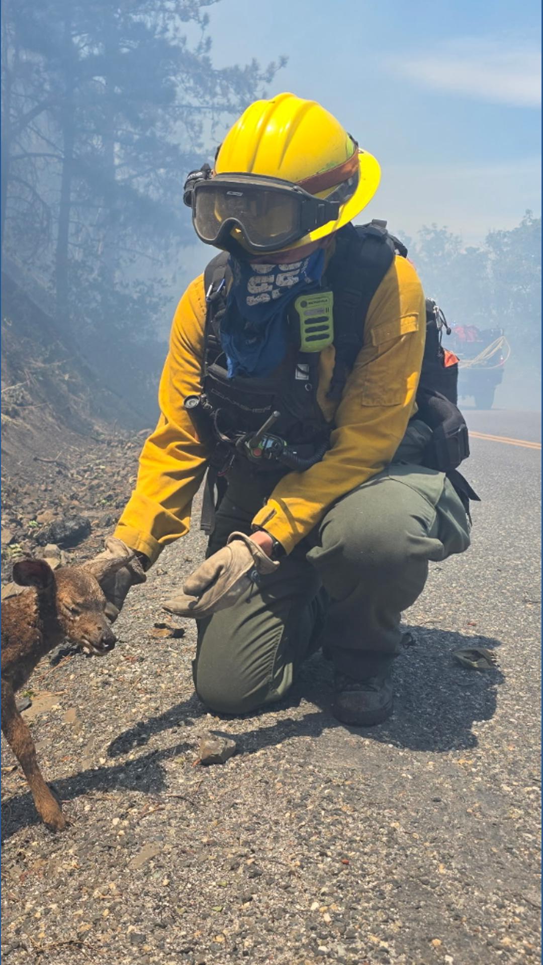 Rowena Fire at 37% containment, burns 3,570 acres and 56 homes ...