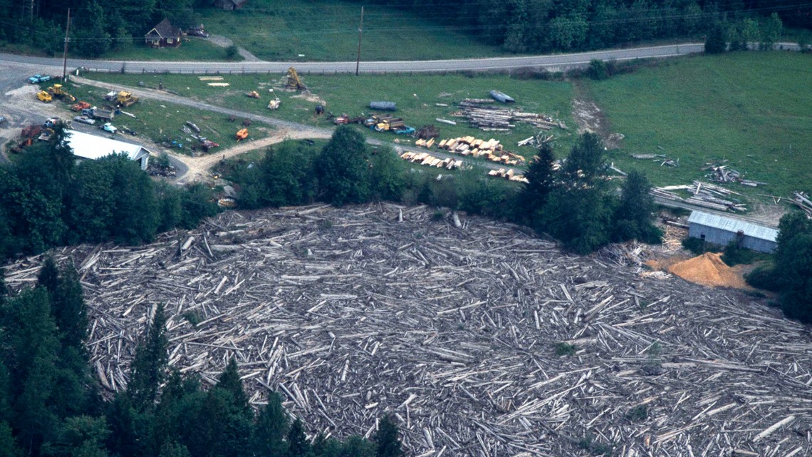 Photos, videos: Mount St. Helens eruption and Spokane ash fallout ...