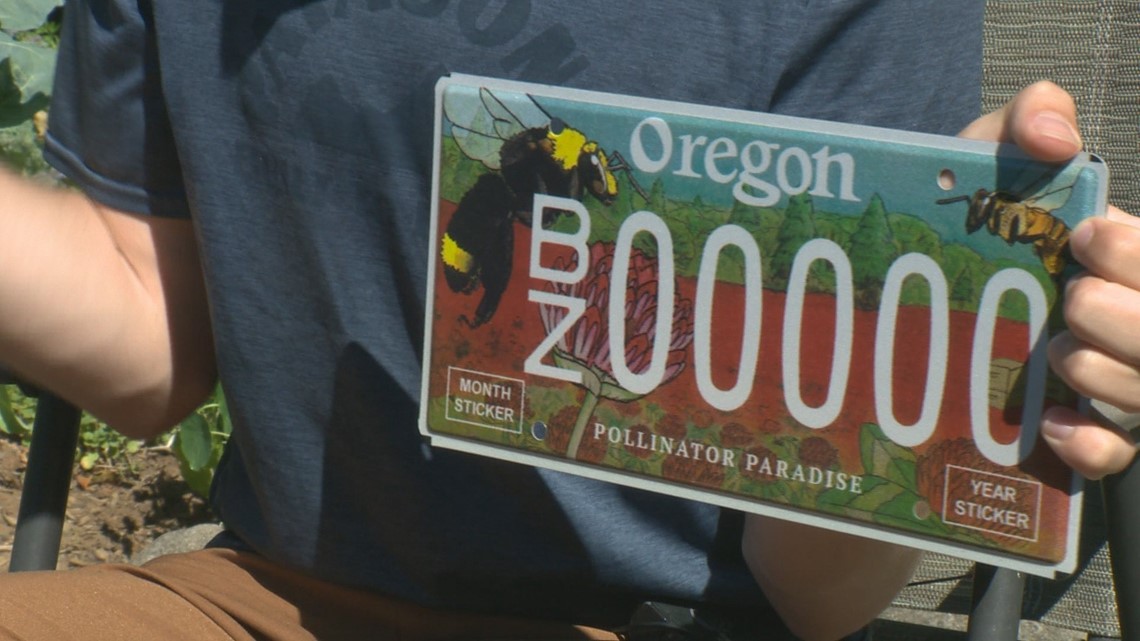 Estacada teen and bee expert designs Oregon's new license plate | krem.com
