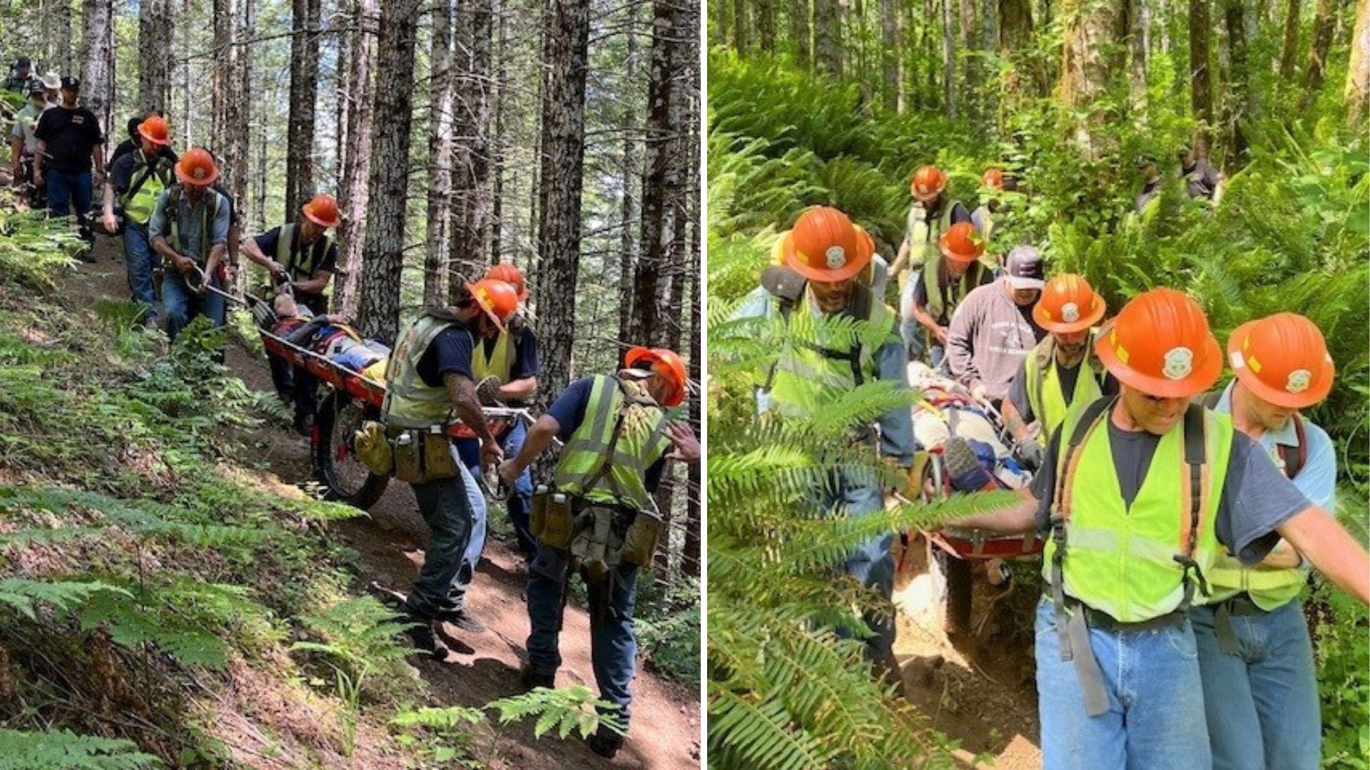 Prison work crew rescues injured hiker in Oregon forest | krem.com