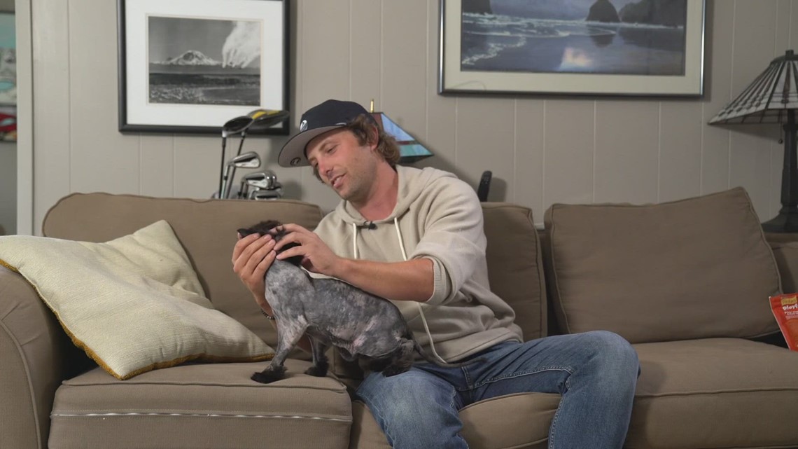 Seattle owner reunites with missing cat after 8 years | krem.com