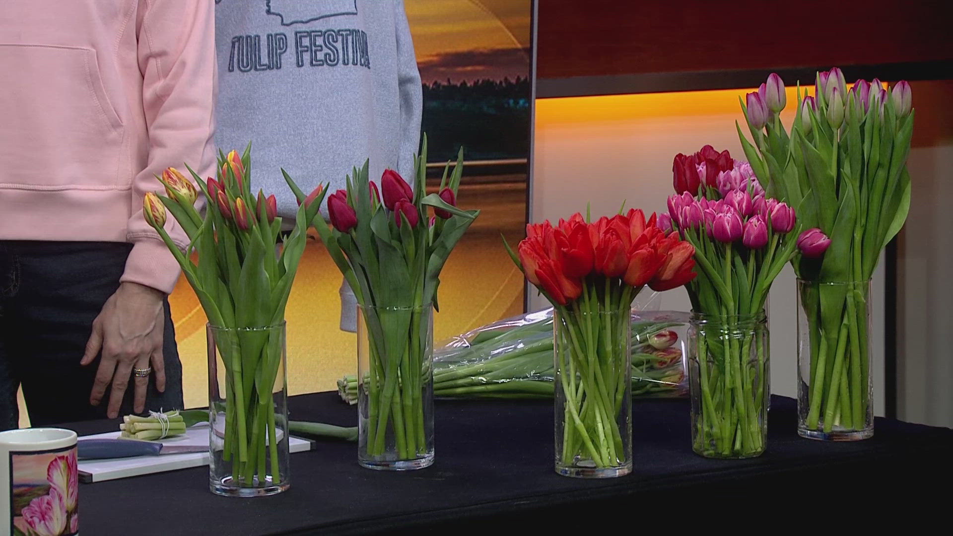 Meet the KREM Team | Spokane, WA | krem.com