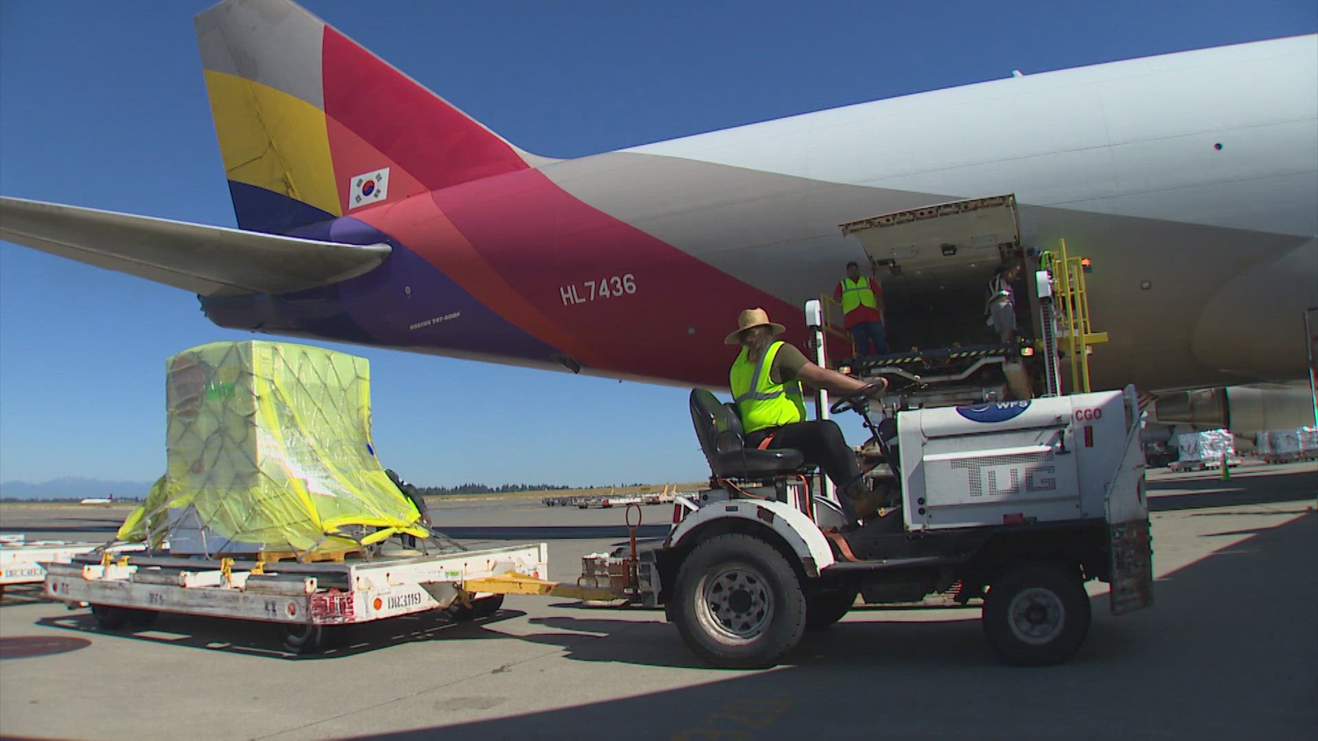 How in-demand Washington cherries make it overseas in 72 hours | krem.com