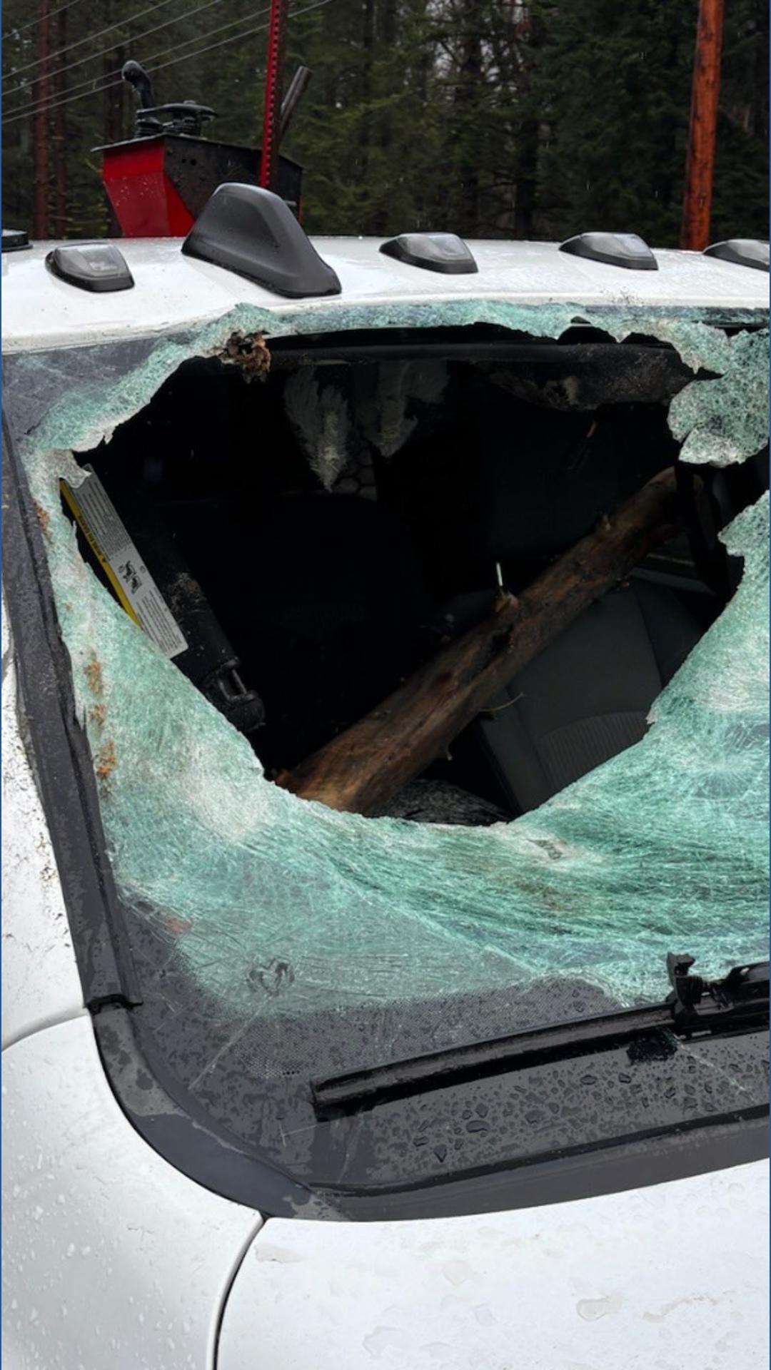 Tree launches through windshield, injuring driver near Leavenworth ...