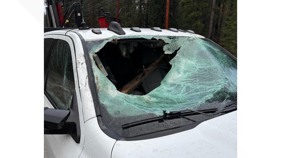 Tree launches through windshield, injuring driver near Leavenworth ...