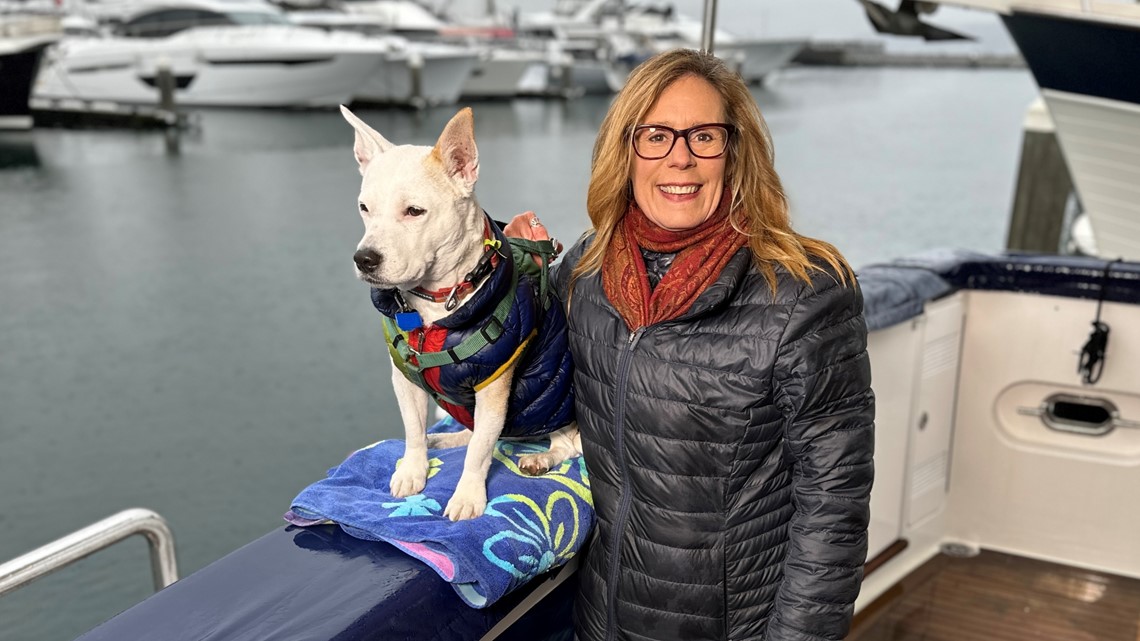 Meet the rescue dog working to save an endangered species | krem.com