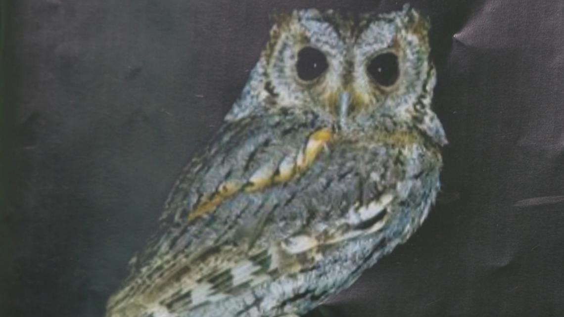 Matt Rife’s Spokane Comedy Show Postponed to 2026 — What to Know | krem.com