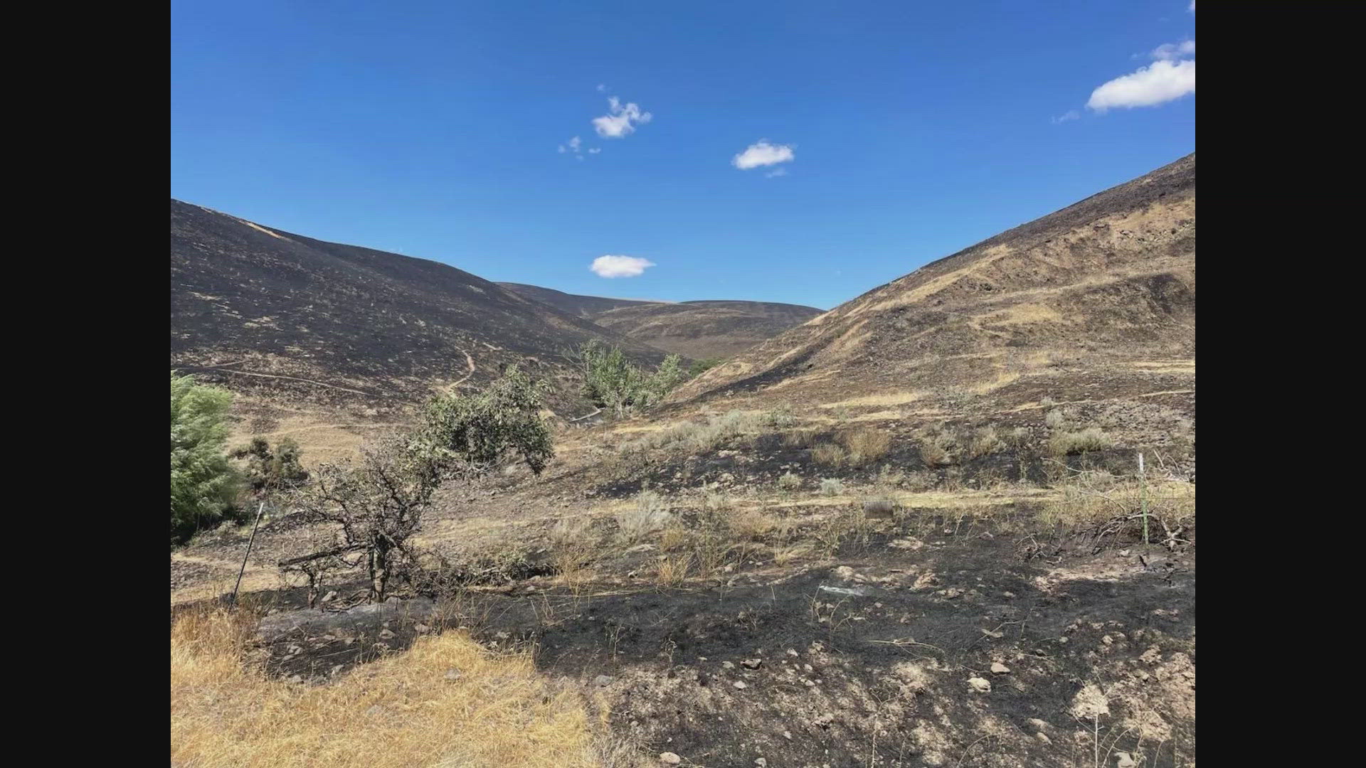 Central Ferry Fire prompts level 2 evacuations in Whitman County | krem.com