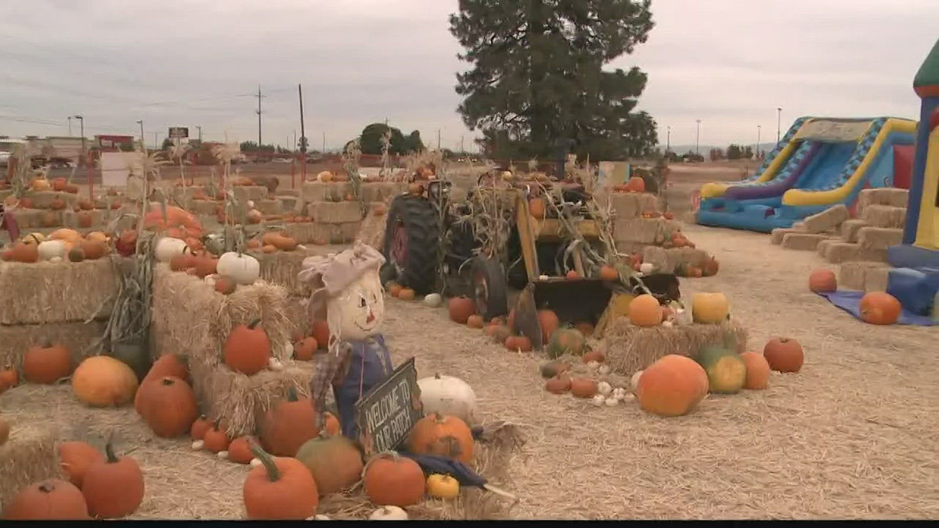 Recovered addict helps others through local treatment program | krem.com