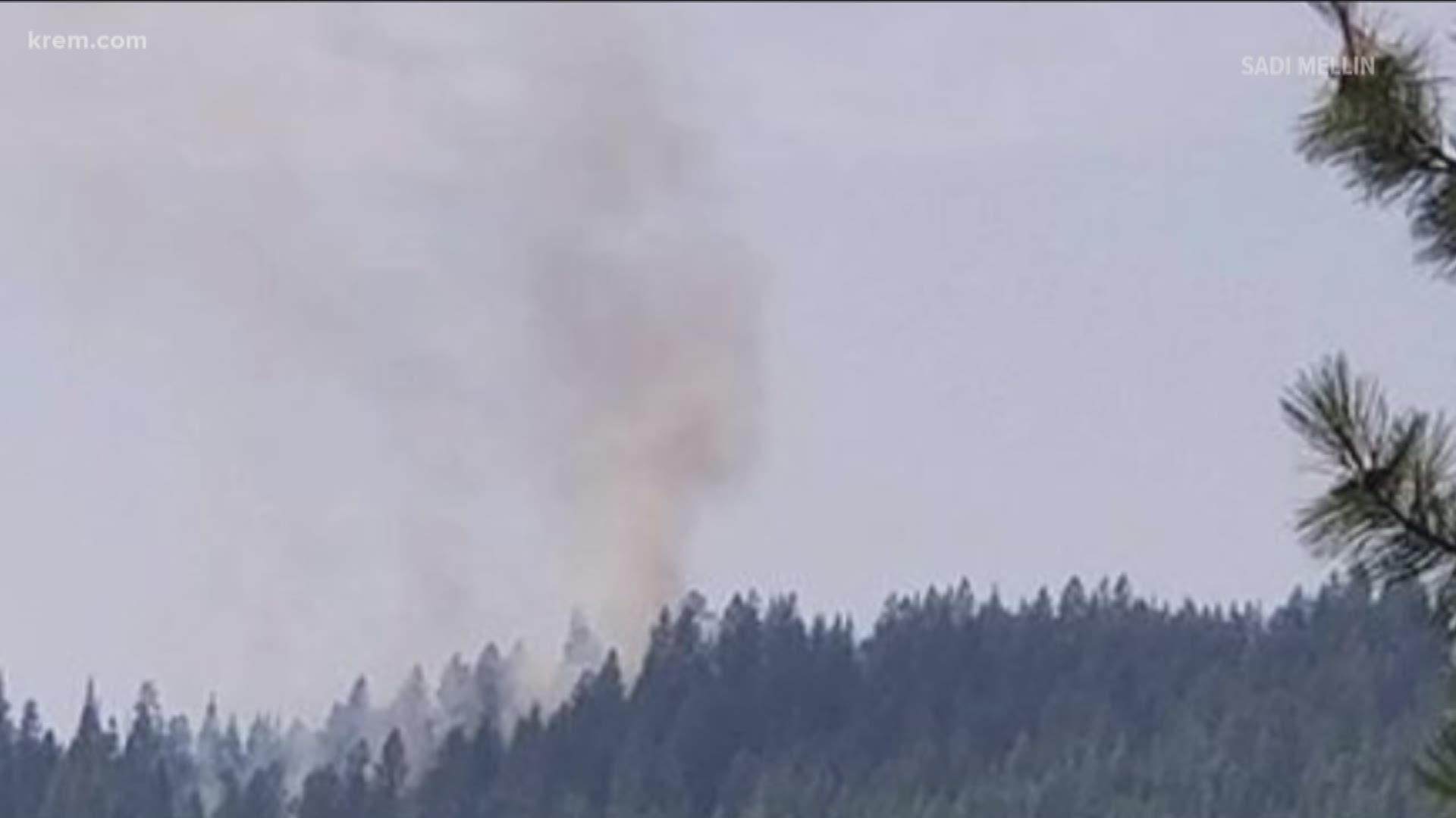 UPDATE: Fire near Newman Lake burns 10 acres | krem.com
