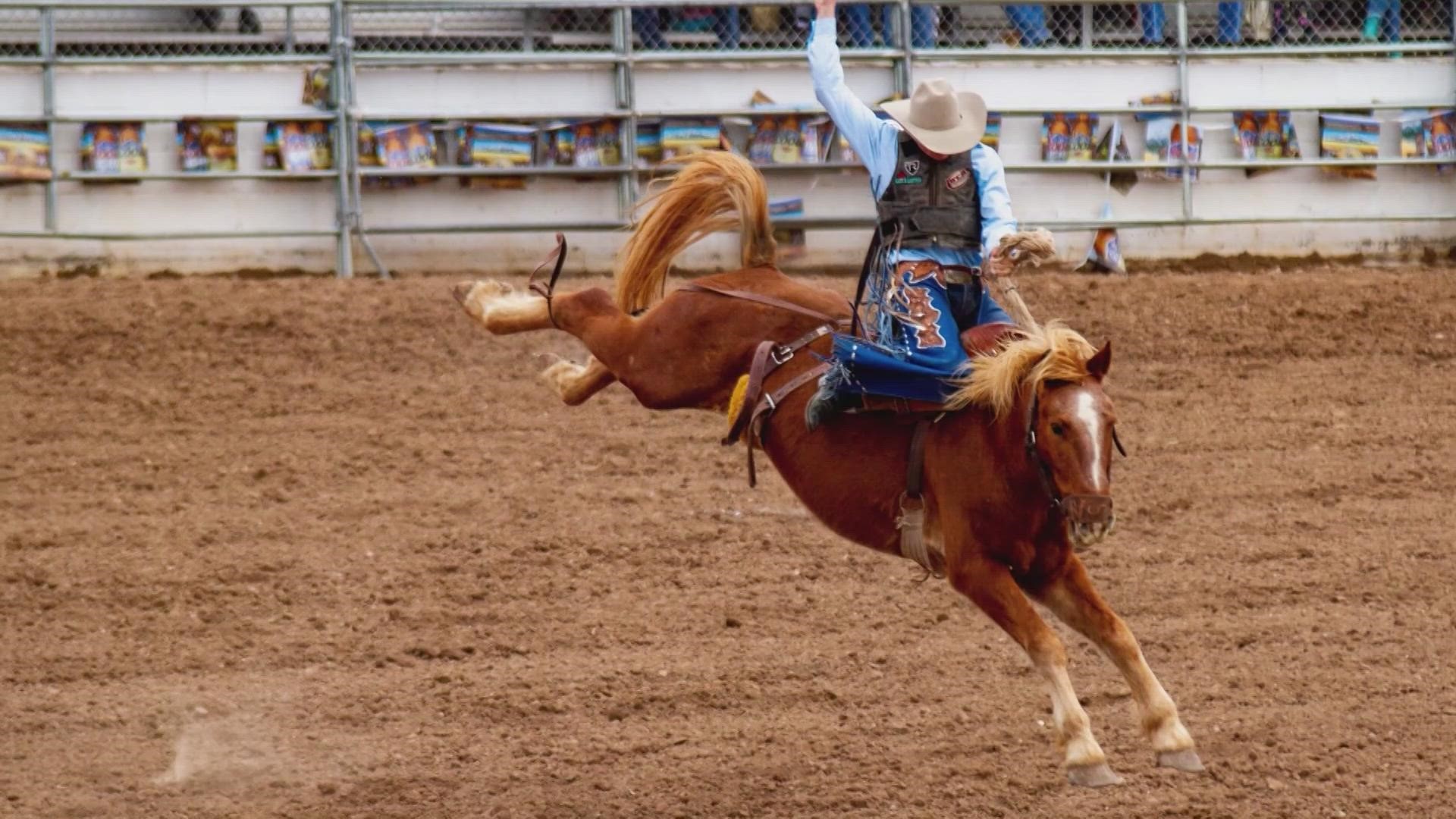 How to find the full schedule of events at Spokane County Fair | krem.com