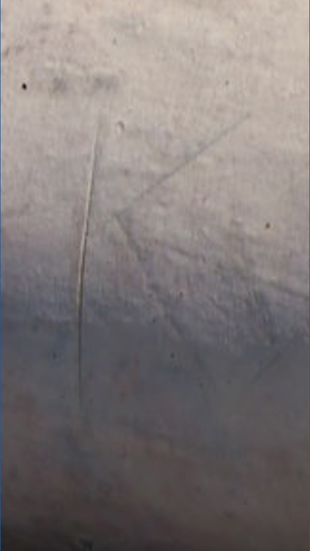 Authorities investigating initials carved into dead gray whale in Oak ...