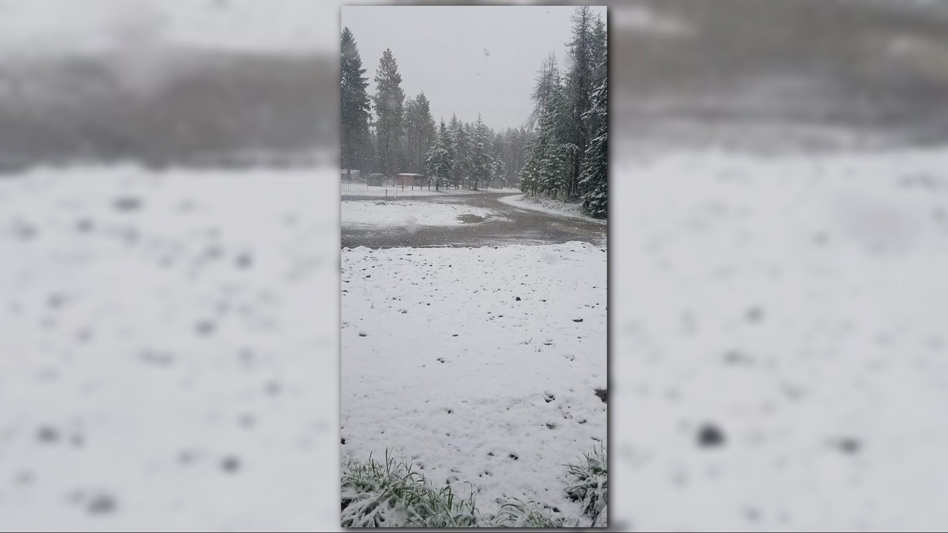 Cold, snowy Spokane weather sets records in September | krem.com