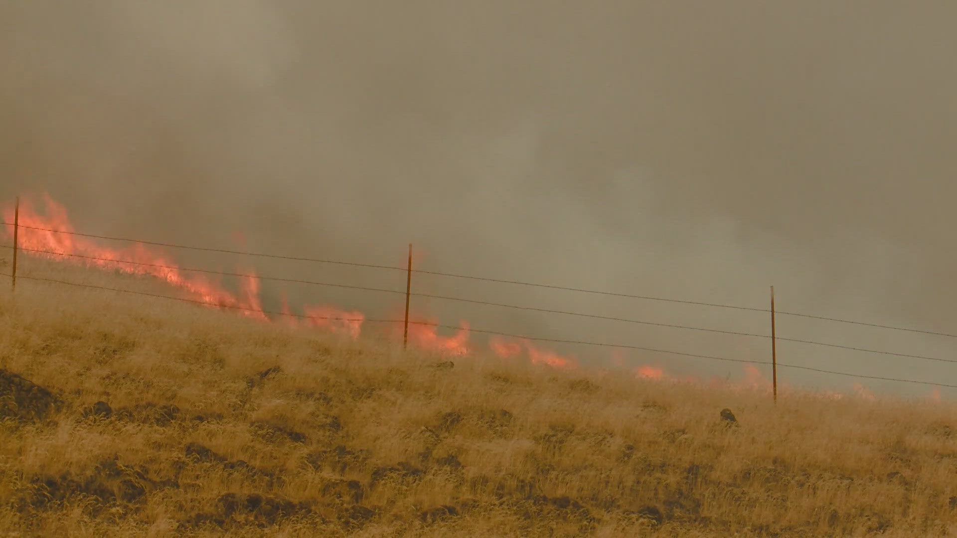 Report: 143 structures burned in Gwen Fire near Juliaetta, Idaho | krem.com