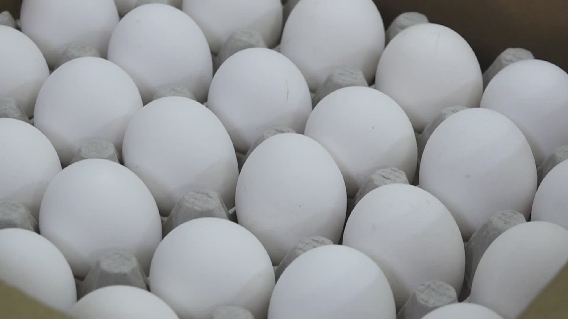 Egg recall for salmonella contamination expanded, FDA warns eggs may ...