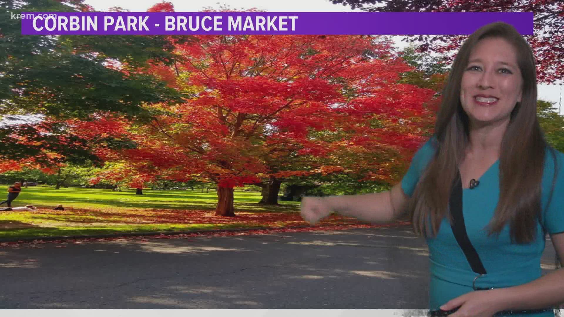 Michelle Boss's Forecast at 11 p.m. on October 5, 2020 | krem.com