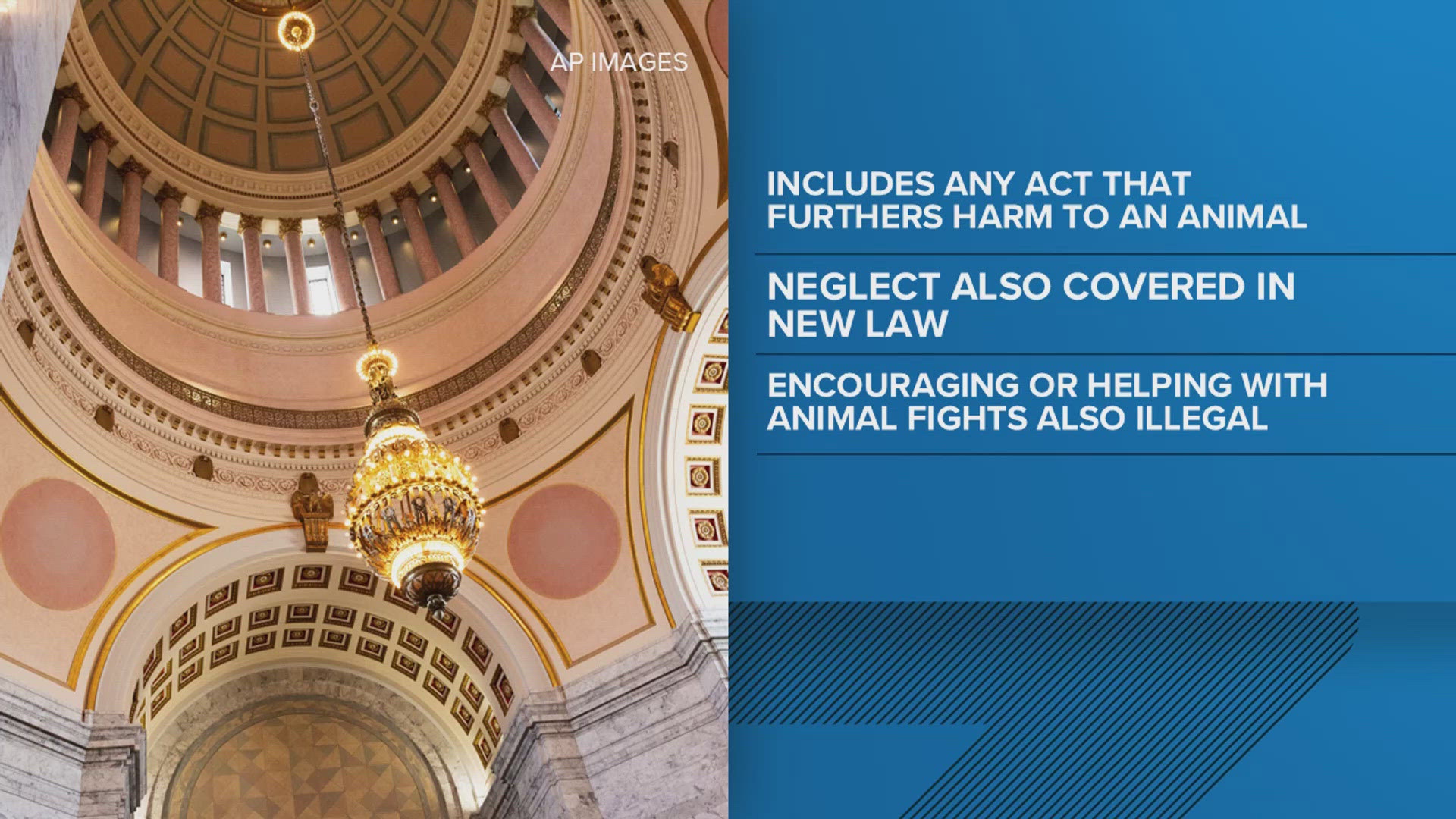 Washington state expands animal cruelty, fighting laws | krem.com