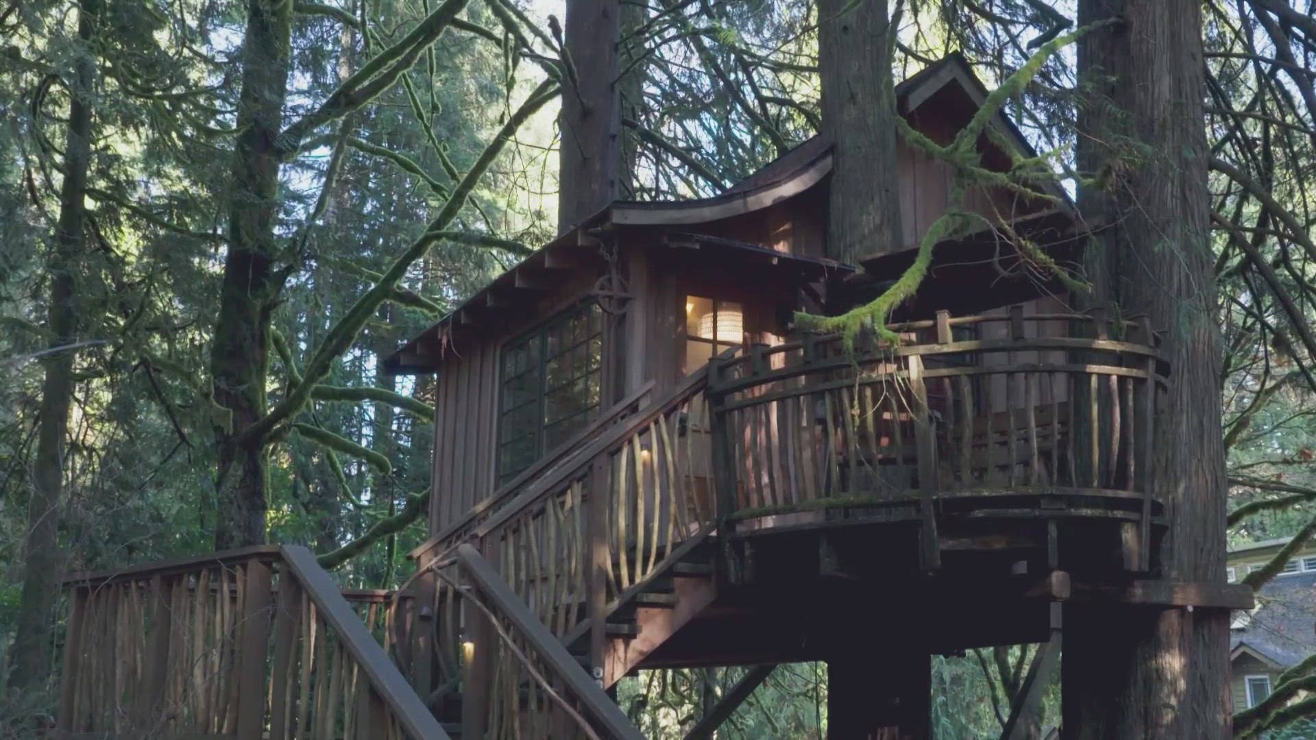 Bartell's Backroads: Treehouse Point in Fall City | krem.com