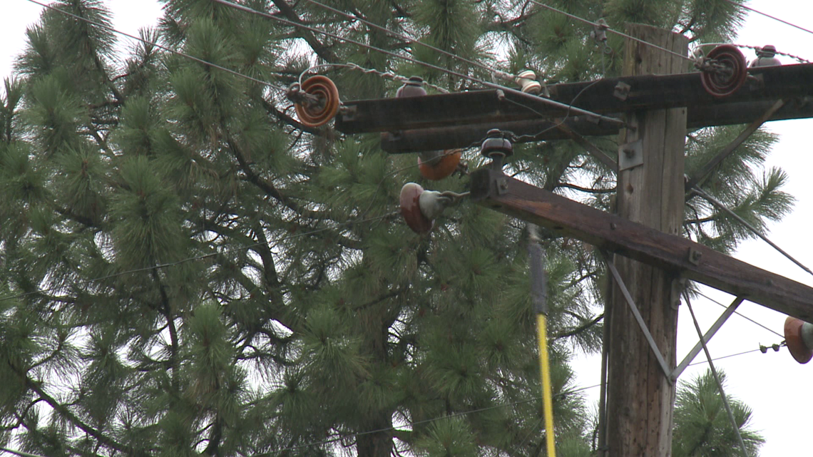 Here's how Spokane residents can prepare for Monday's wind storm | krem.com