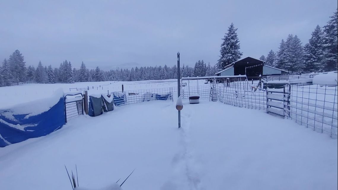 24 hour snowfall totals for Spokane and North Idaho as two waves hit ...
