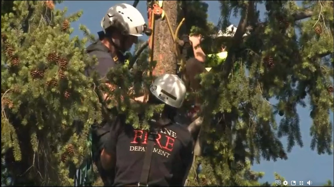 9-year-old rescued from 80 foot tree near Garry Middle School | krem.com