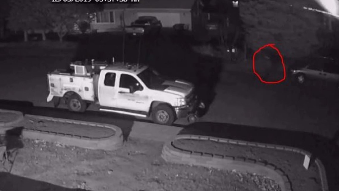 Medical Lake car prowling suspect caught in the act | krem.com