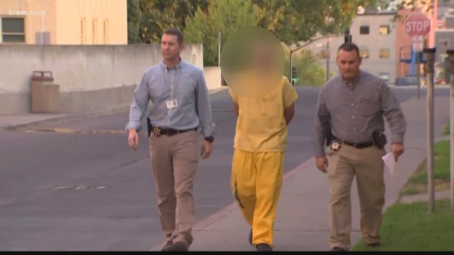 Decision on adult charges for accused Freeman HS shooter set for May ...