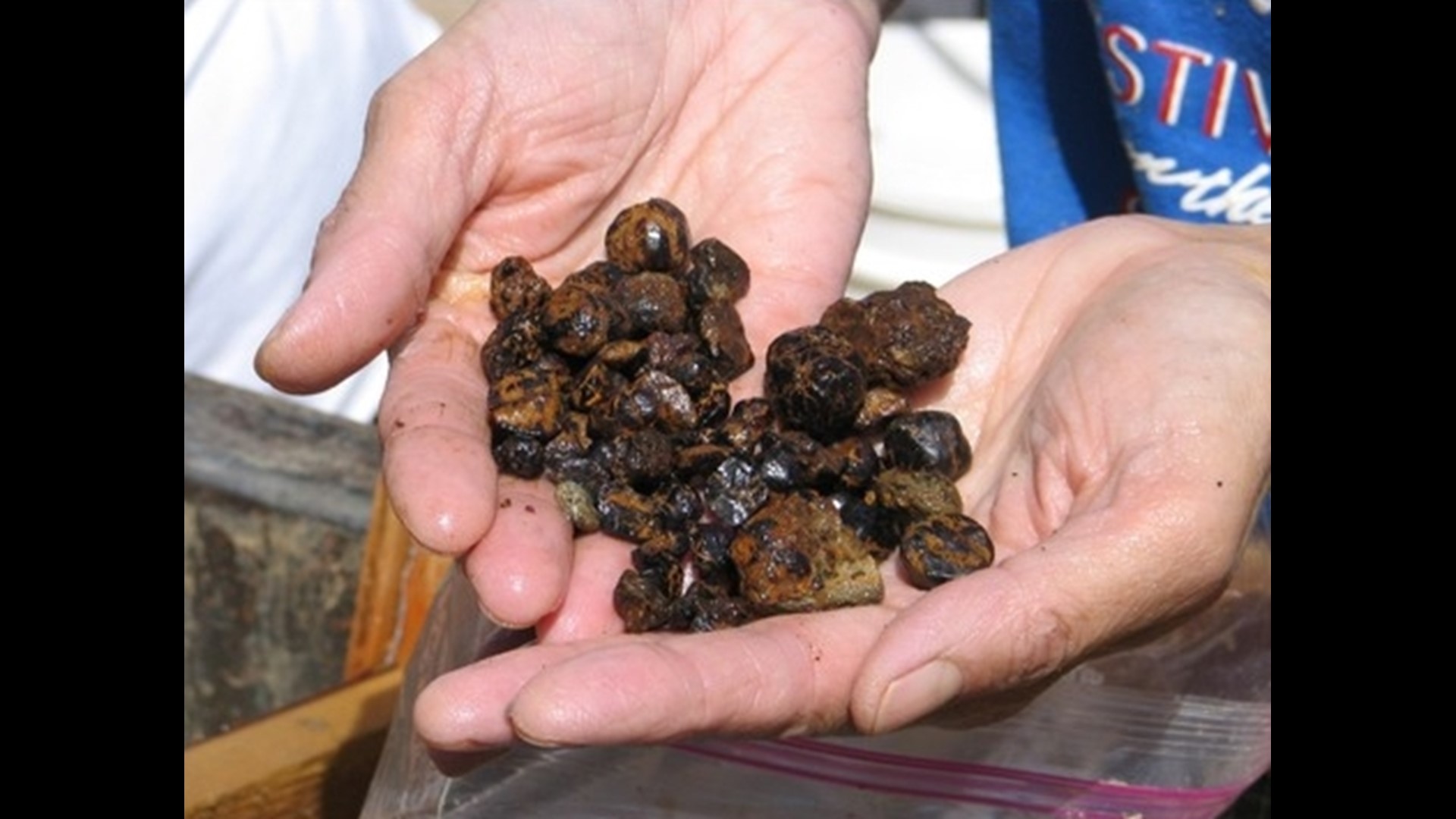 Emerald Creek Garnet Area in North Idaho reopens in May 2021 | krem.com