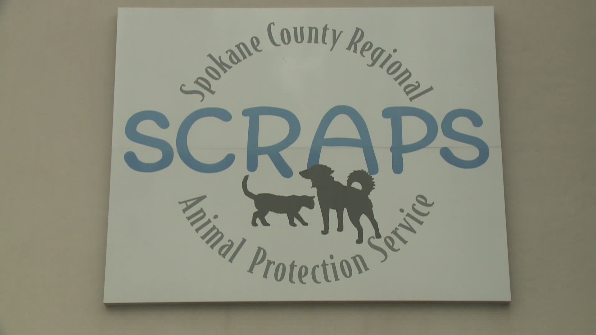 SCRAPS reopening for dog adoptions on Tuesday | krem.com