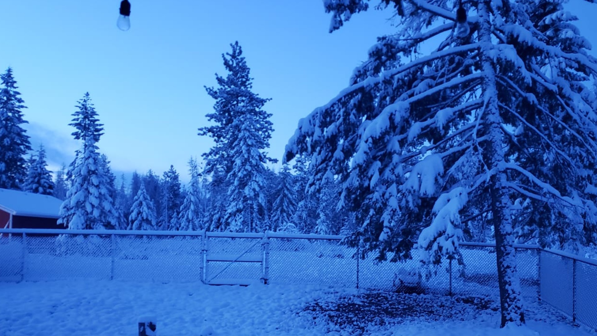 Record-breaking 4 inches of snow falls overnight in Spokane area | krem.com