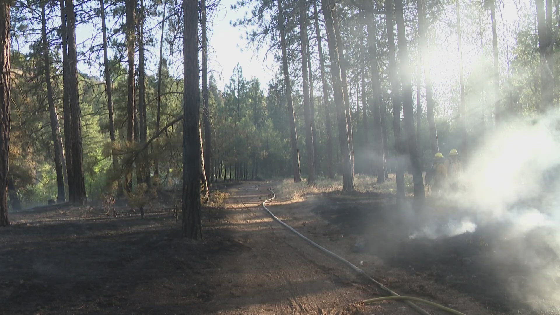 Spokane Fire Dept. tackles brush fire near Elliott Dr. | krem.com