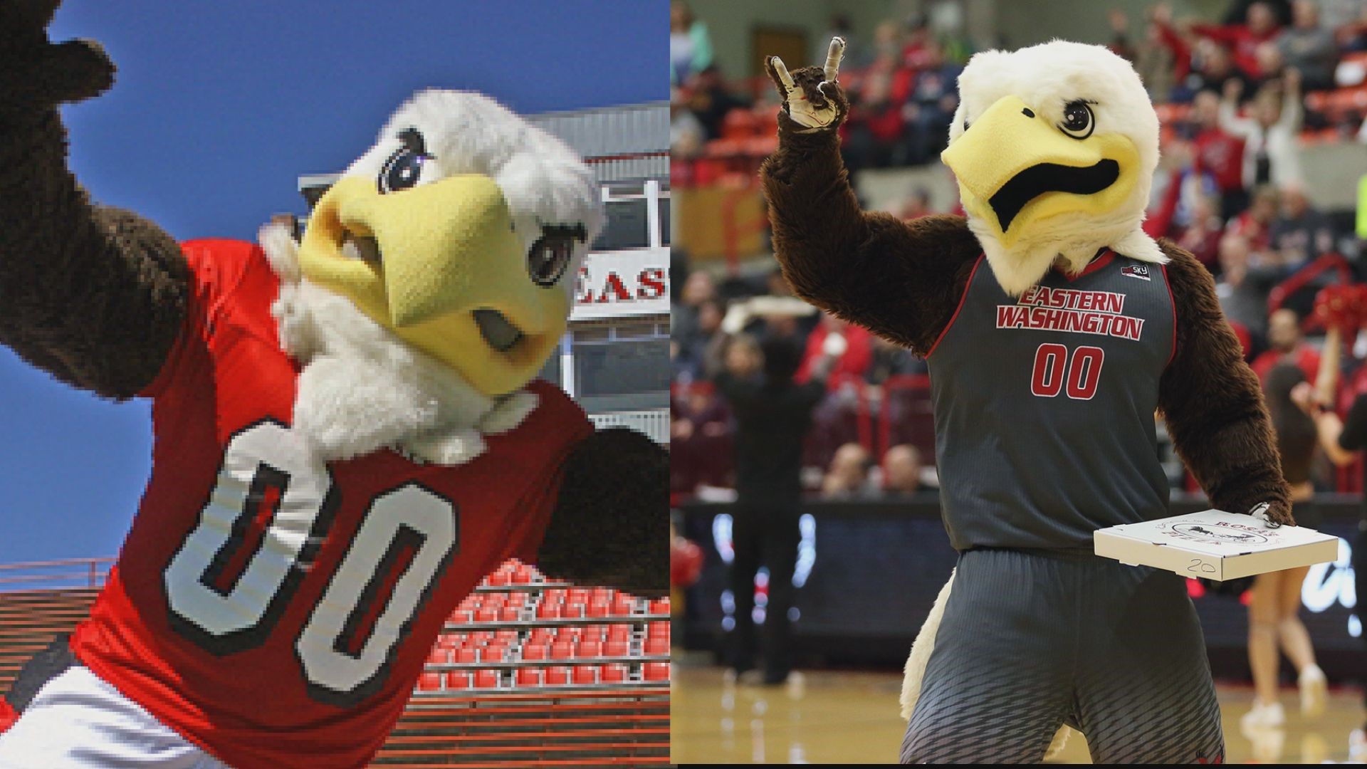 Mascot mania: How the Eagles became the Eagles | krem.com