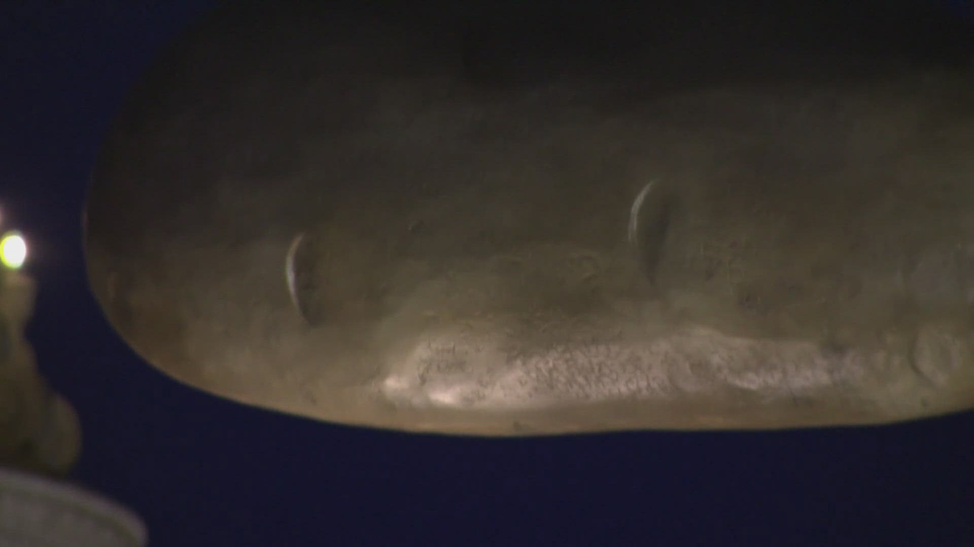 USA Today nominates Idaho's Potato Drop for Best New Year's Eve Drop ...