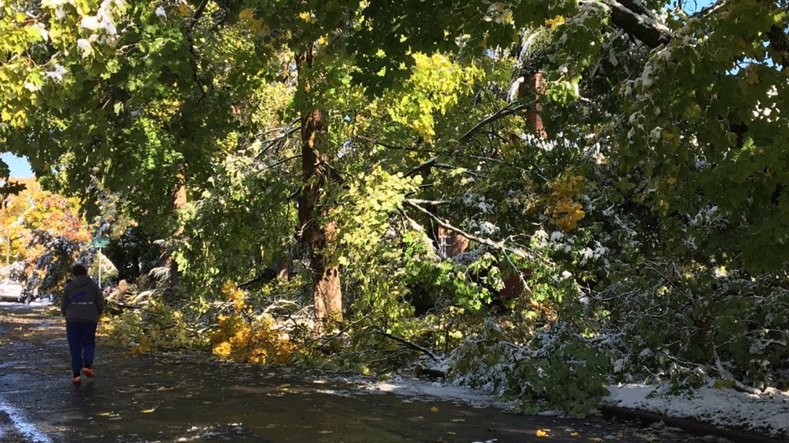 Downed trees cause widespread damage after snow storm | krem.com