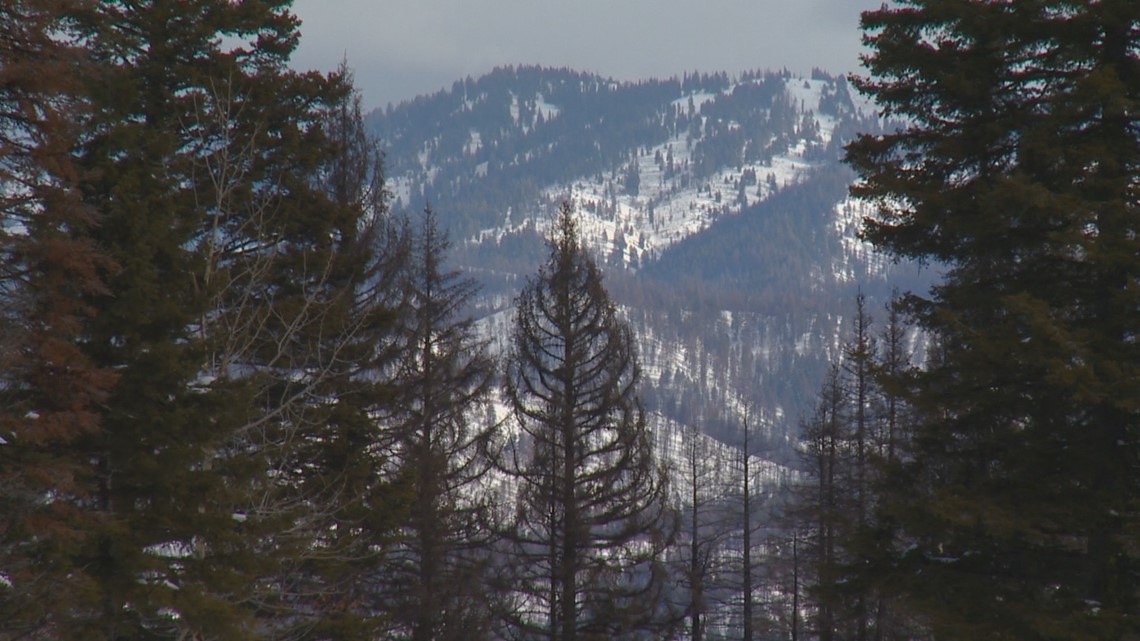 Snow slow on the go, but wild weather elsewhere | krem.com