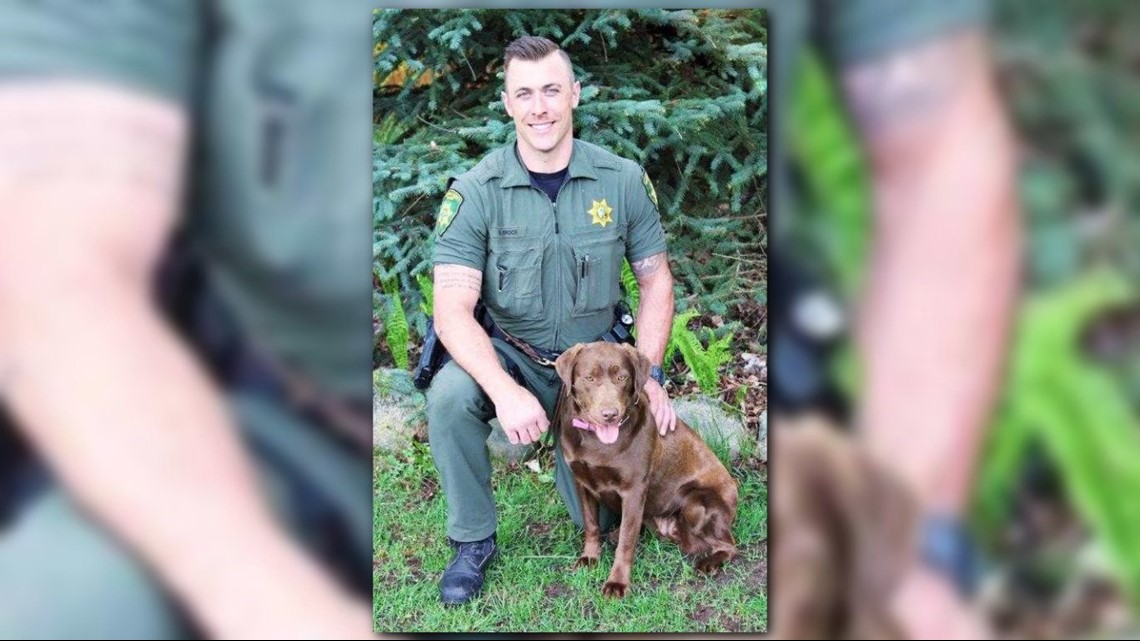 KCSO welcomes K9 Bailey to its team | krem.com