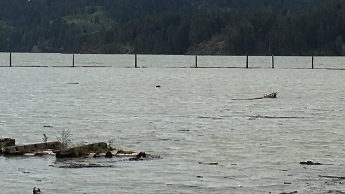 Where to float the Spokane River and how to stay safe | krem.com