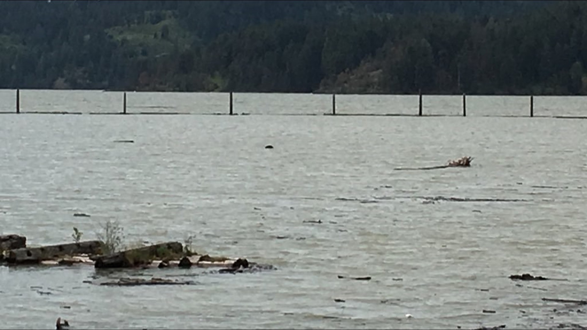 Where to float the Spokane River and how to stay safe | krem.com
