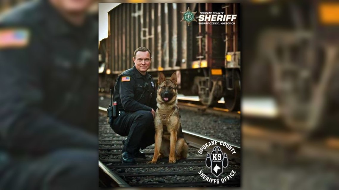 Spokane Valley PD K9 stops driver who attempted to evade the police ...