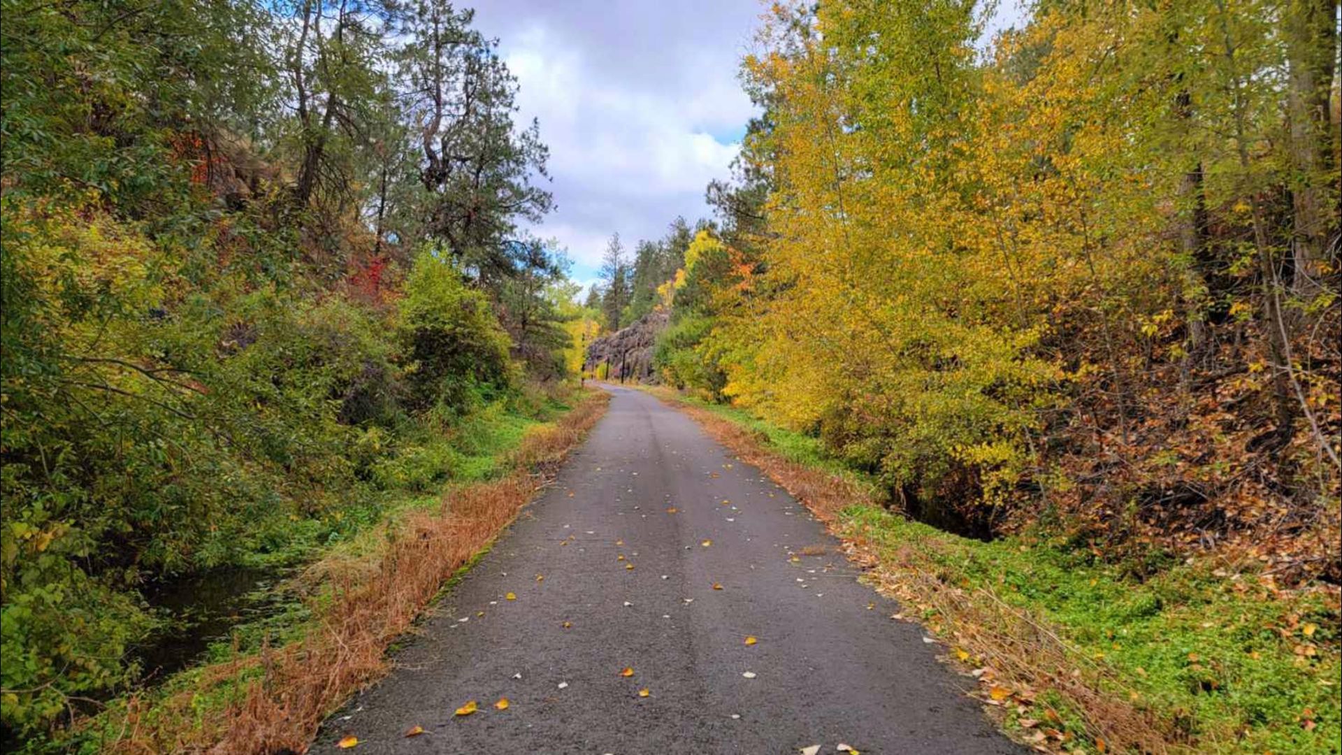 KREM 2 viewer photos of Spokane fall colors | krem.com
