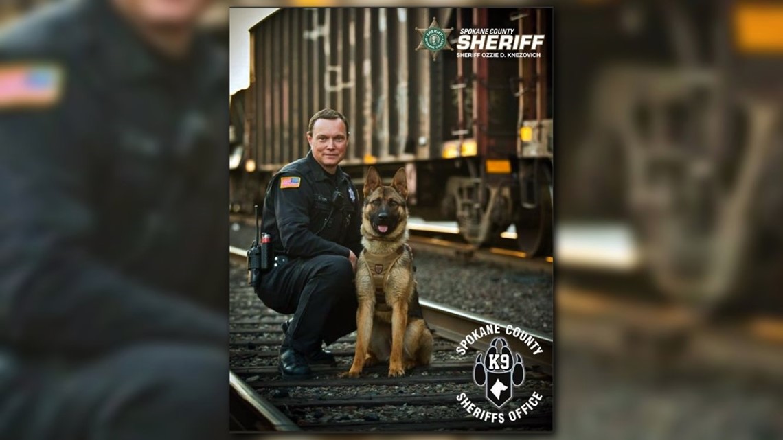K9 Bane locates domestic violence suspect | krem.com
