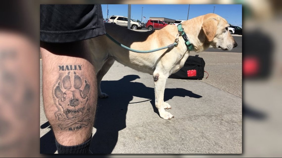 Local marine reunited with bomb-sniffing dog he served with overseas ...