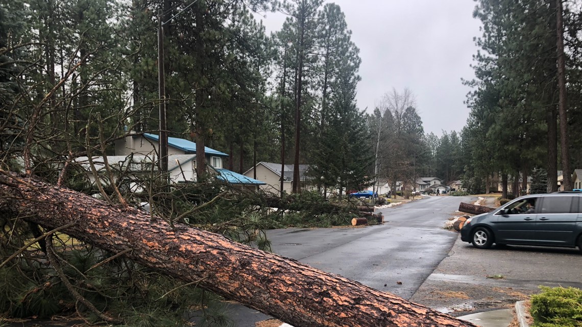 Spokane tree services prepared ahead of Wednesday windstorm | krem.com
